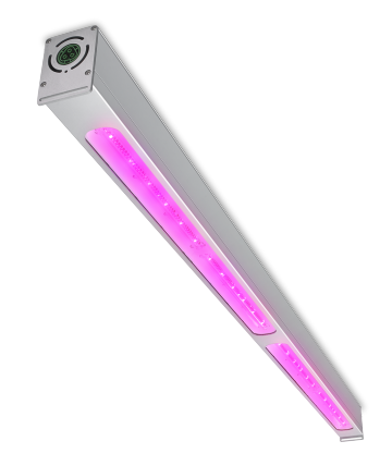 LED grow lights – Great Lakes Growers | Philips lighting